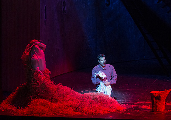 Lucia di Lammermoor - Opéra Bastille - Theatre In Paris